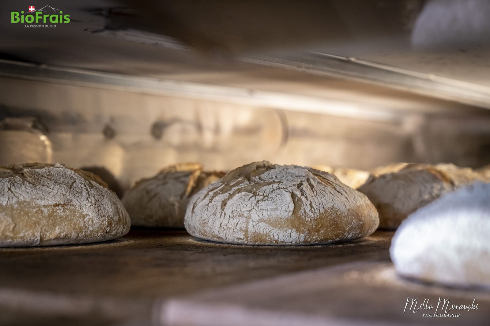 Tourte du grenier : Un pain qui allie tradition et bien-être